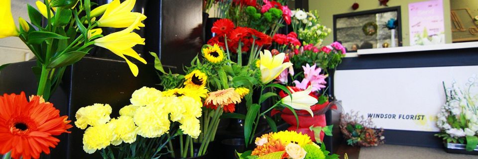 Home | Windsor Florist