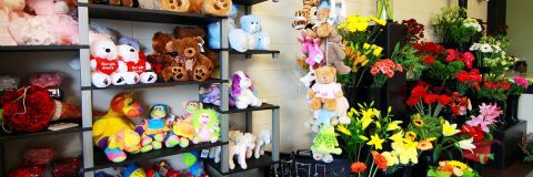 Florist Invercargill - Southland | Windsor Florist